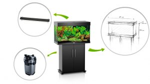 L’aquarium pour poisson rouge – Association Française du Poisson Rouge