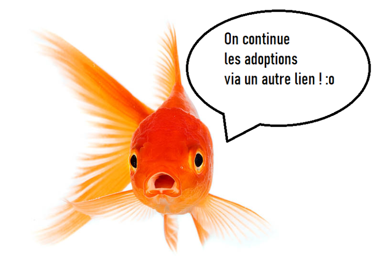 Association Française du Poisson Rouge